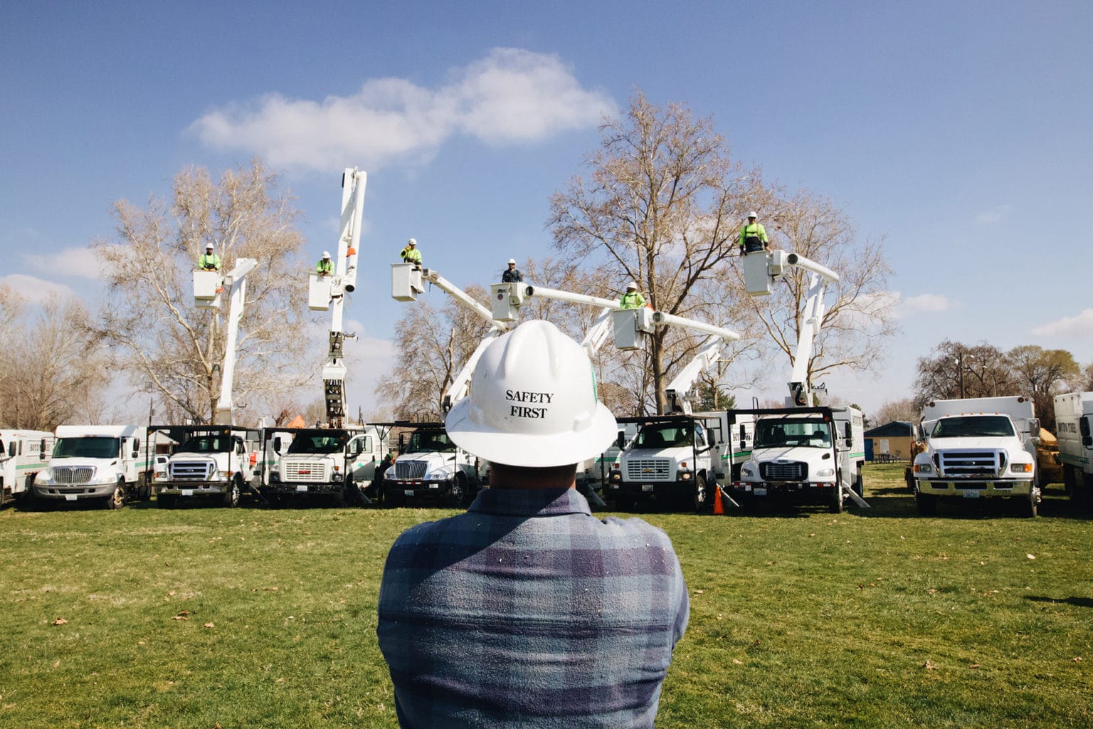 Tree Removal - Kennewick, Pasco, Richland | Tri-Cities, WA