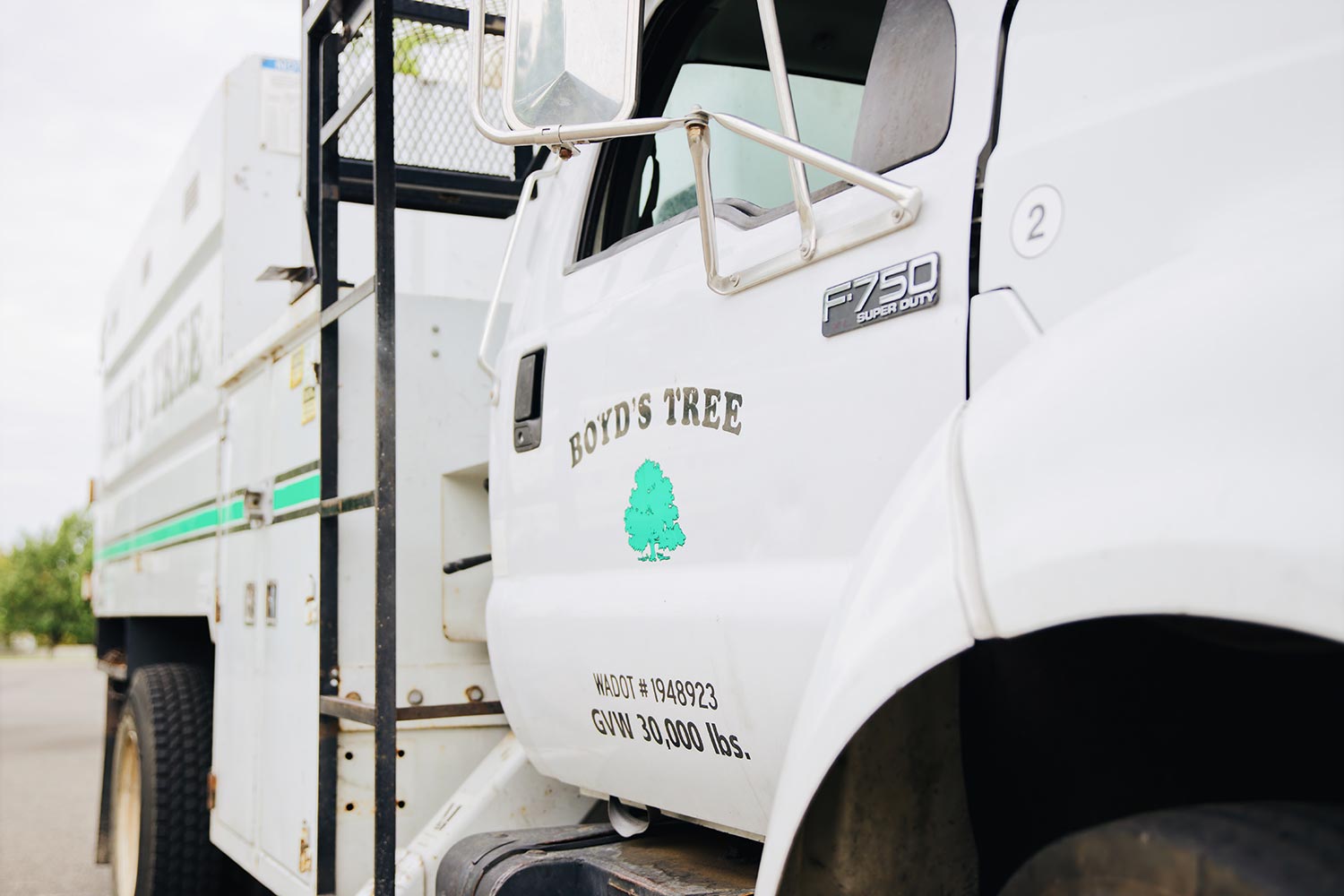 How We Safely Remove Large Trees From Small Spaces - | Boyd's Tree